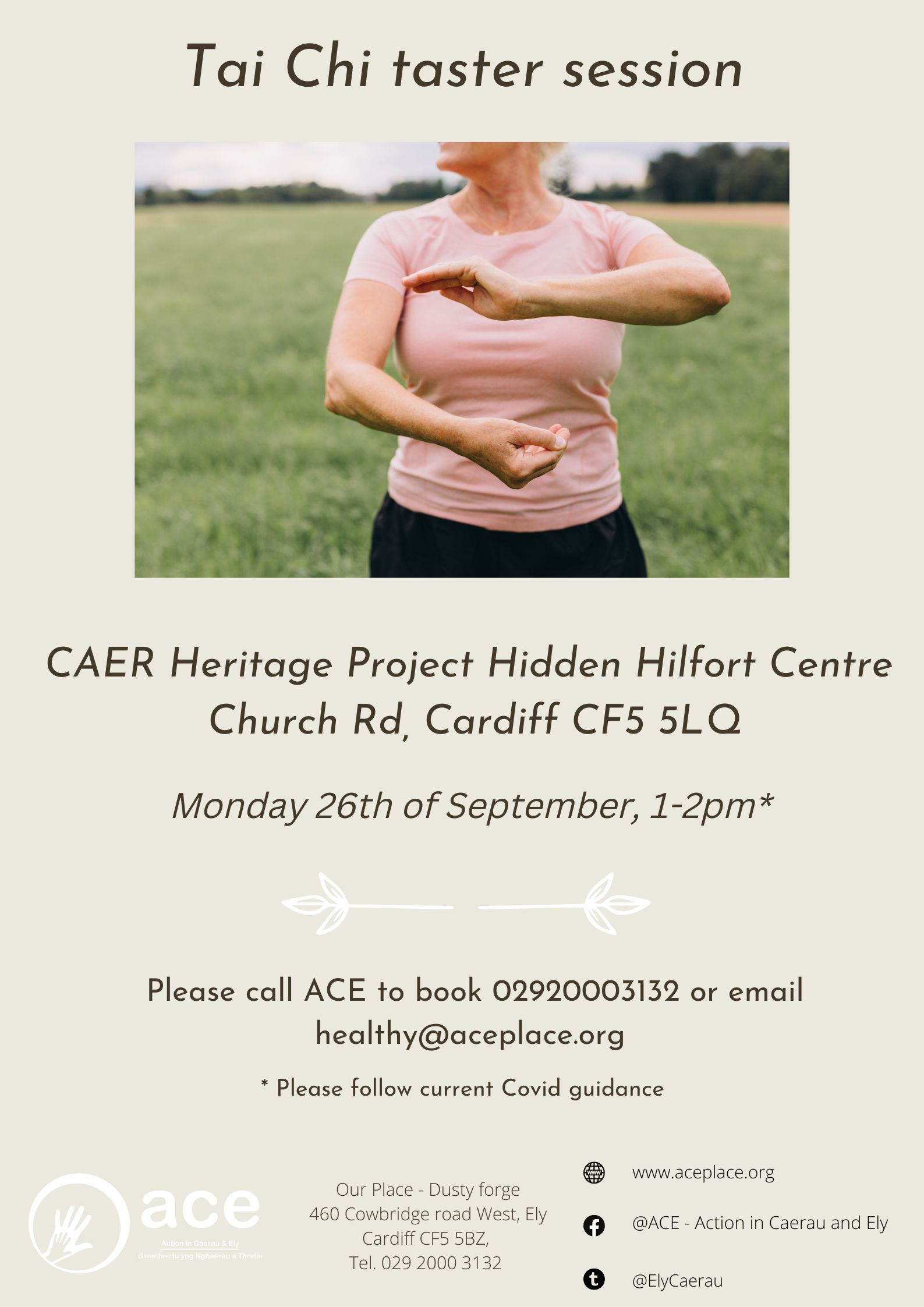 Ace - Action in Caerau & Ely - Cardiff South Wales Cluster