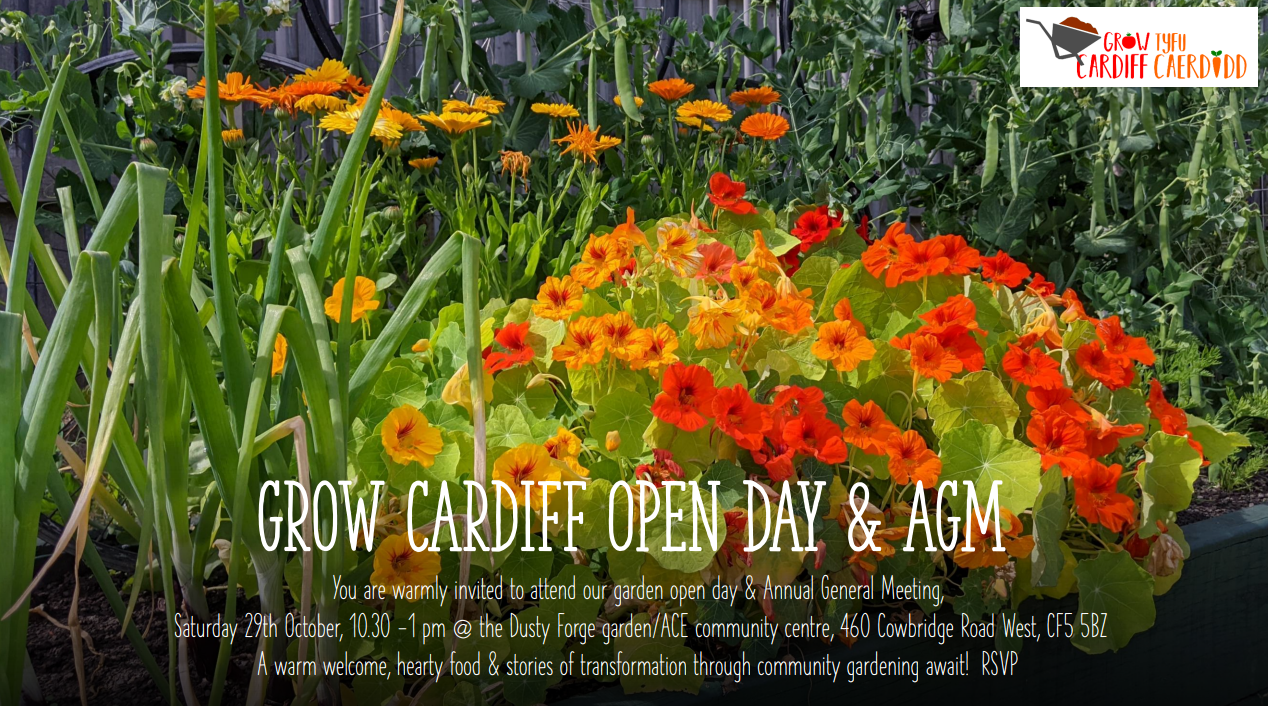 Grow Cardiff - Cardiff South Wales Cluster