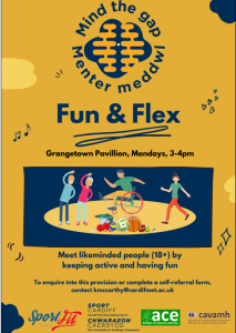 Mind the Gap - Cardiff South Wales Cluster